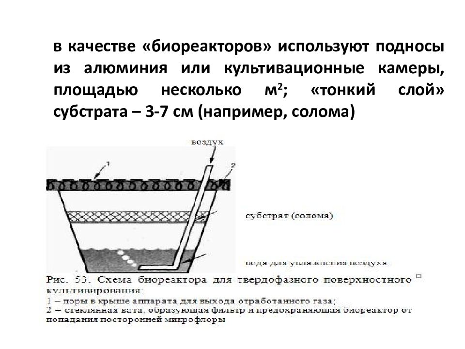 Лекция № 7-9. Способы культивирования микроорганизмов и виды ...